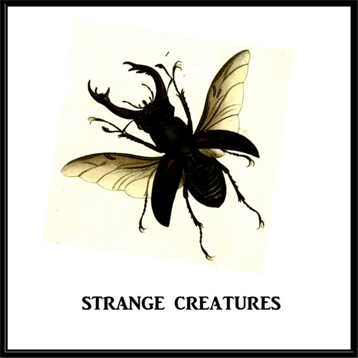 Strange Creatures | Matt Alexander | Matthew Ross / Woodlark Recordings