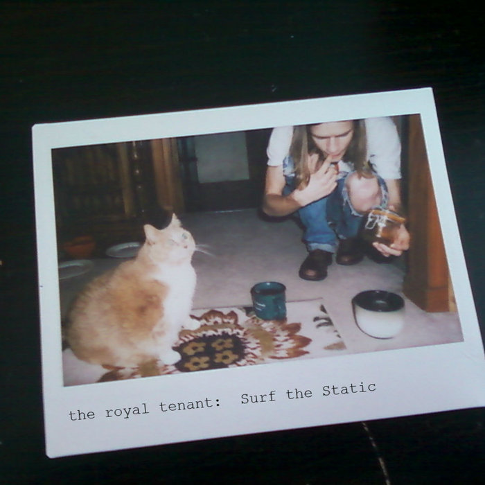 Surf the Static | The Royal Tenant