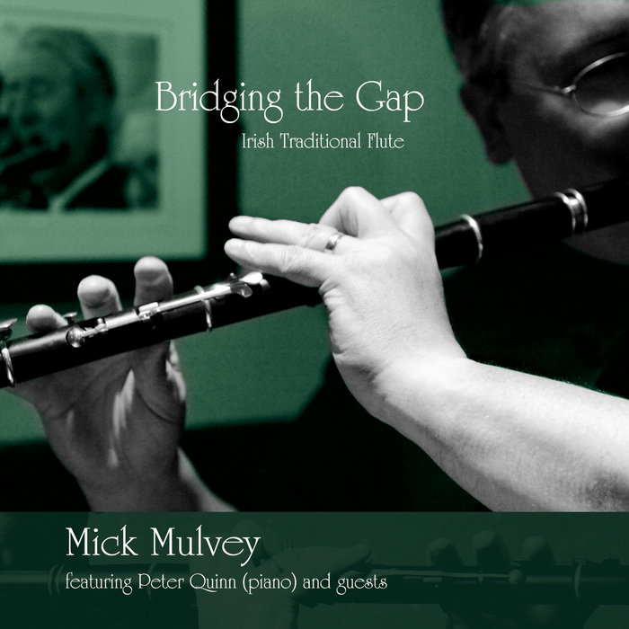 Bridging the Gap (2009) | Mick Mulvey