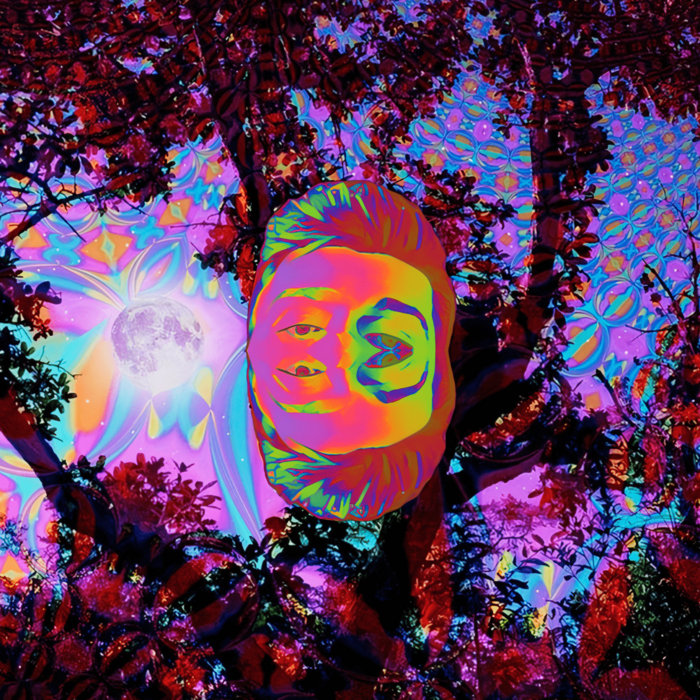 Entheogens | PLVNT BASED