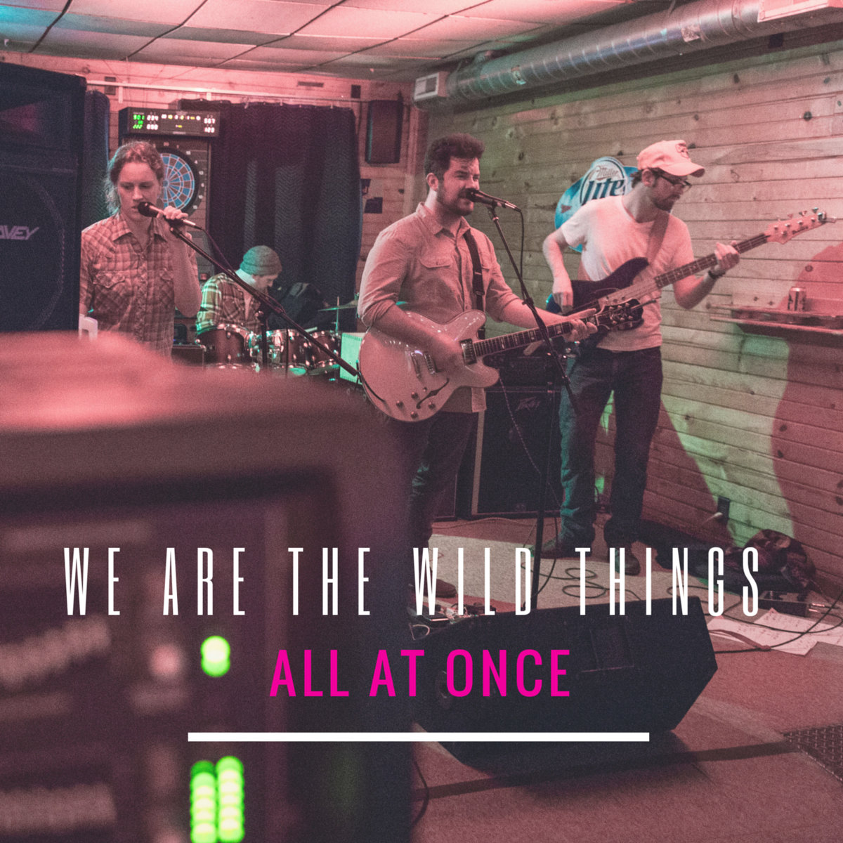 All At Once | We Are The Wild Things