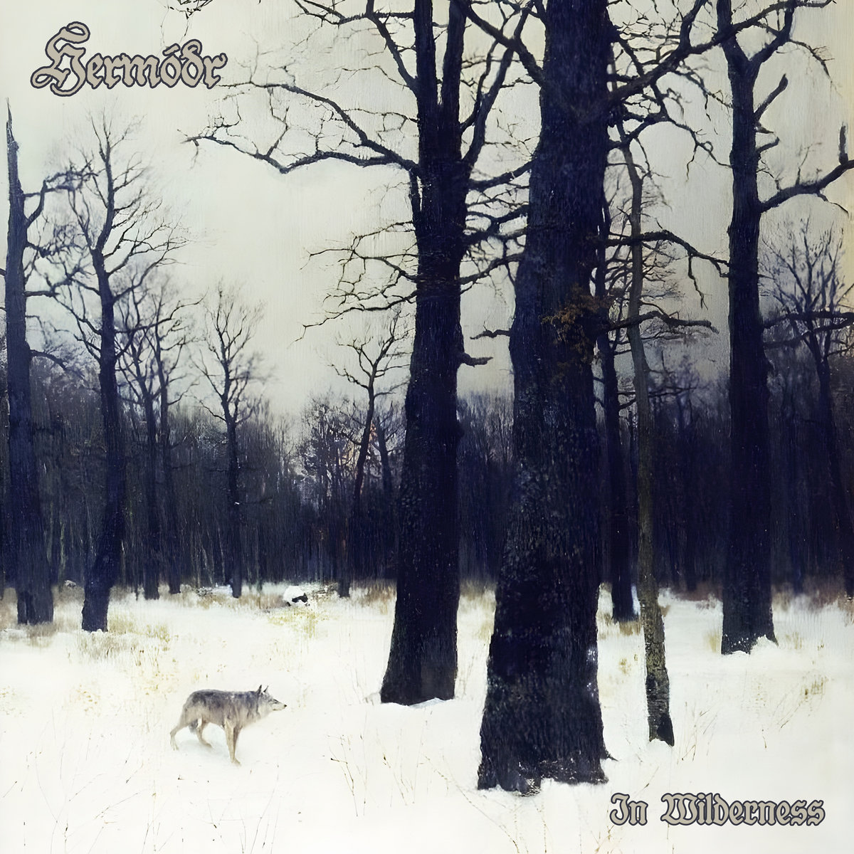In Wilderness (Album) | Hermóðr