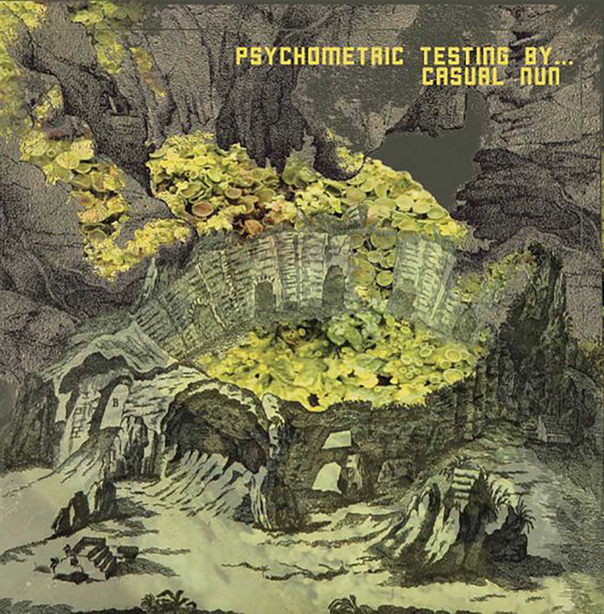 Psychometric Testing By Casual Nun psychometric-testing-by-casual-nun