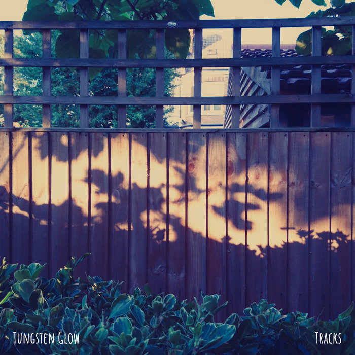 How could you? | Tungsten Glow