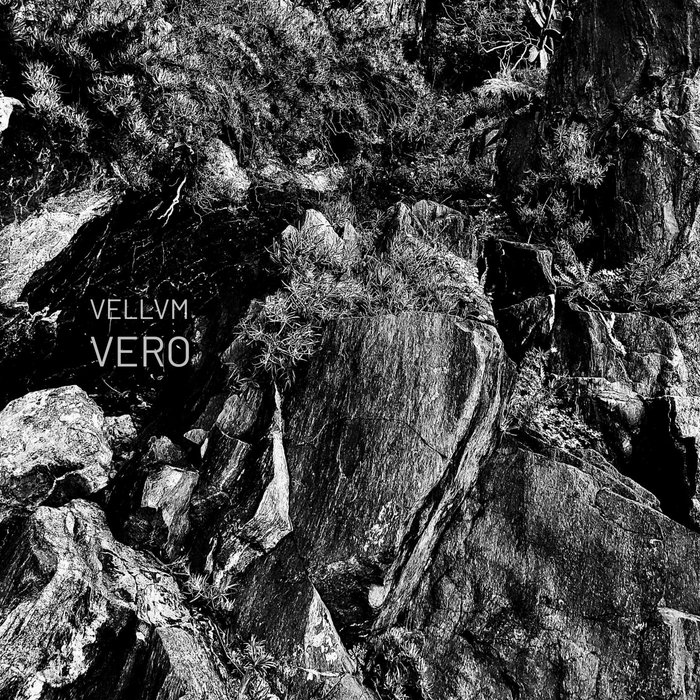Vero | VELLVM
