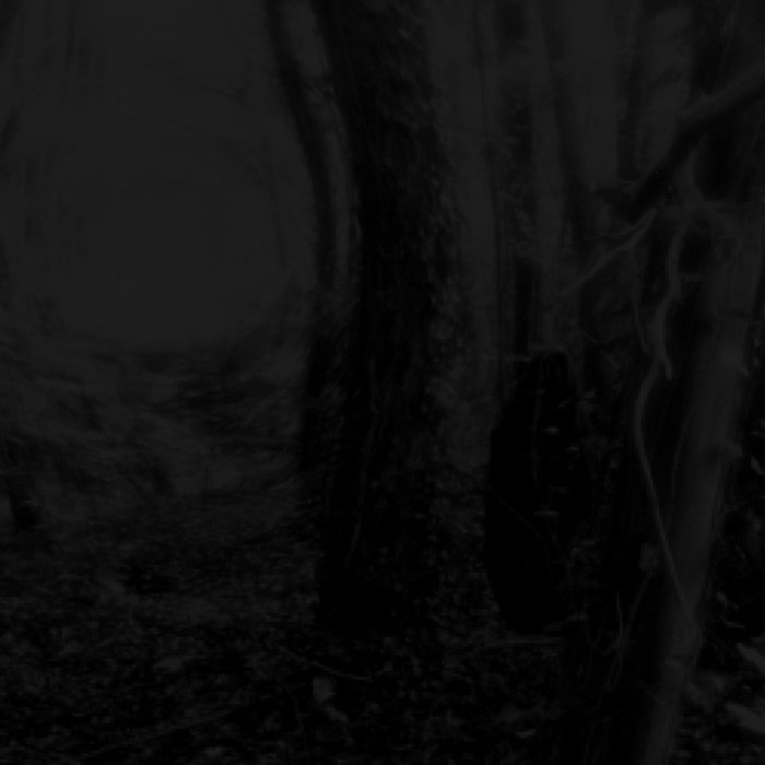 Forbidden Archive | Morbe