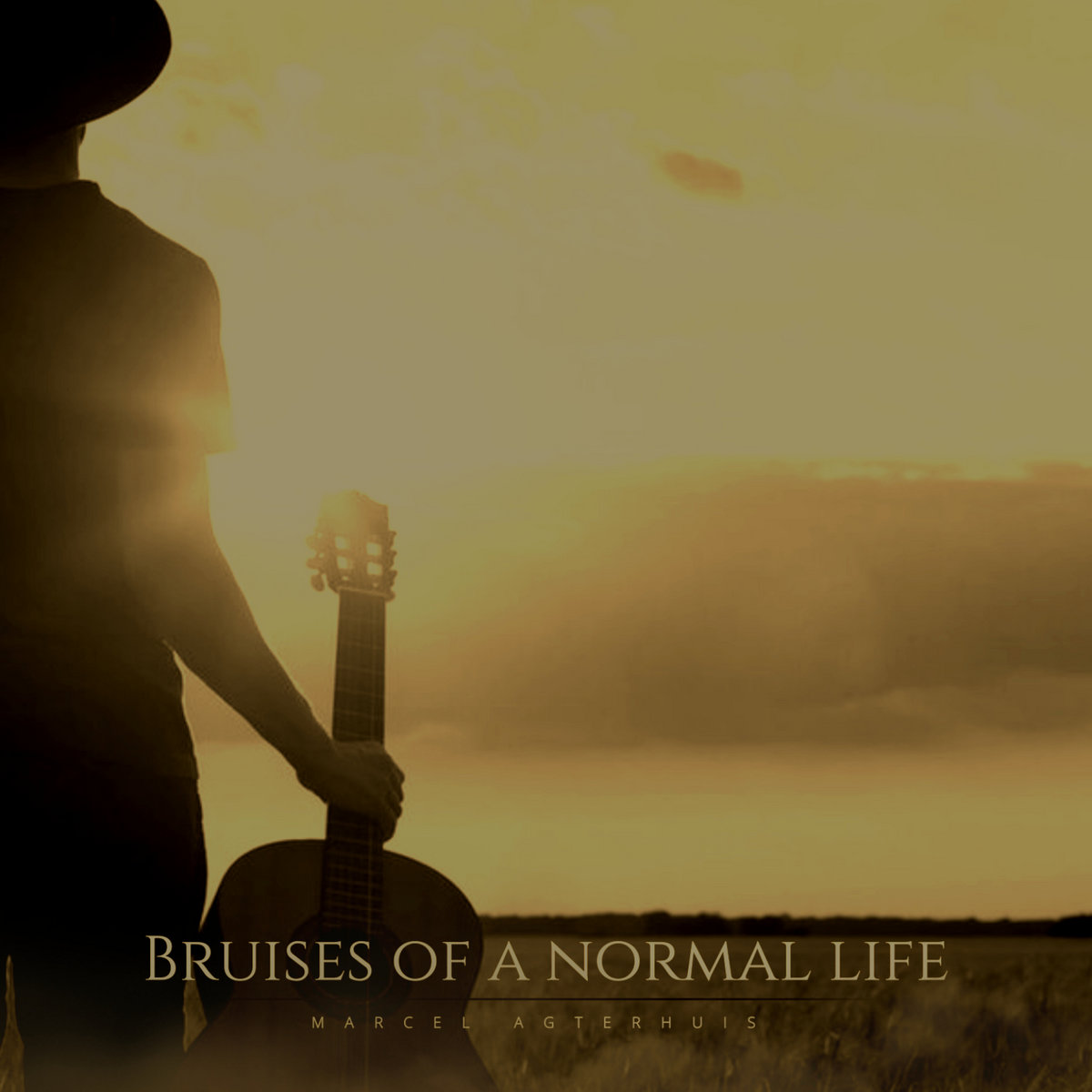 Bruises of a normal life | Marcel Agterhuis