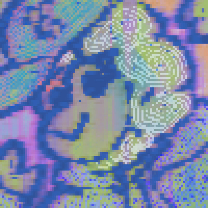 live! from my living room | Bucky!