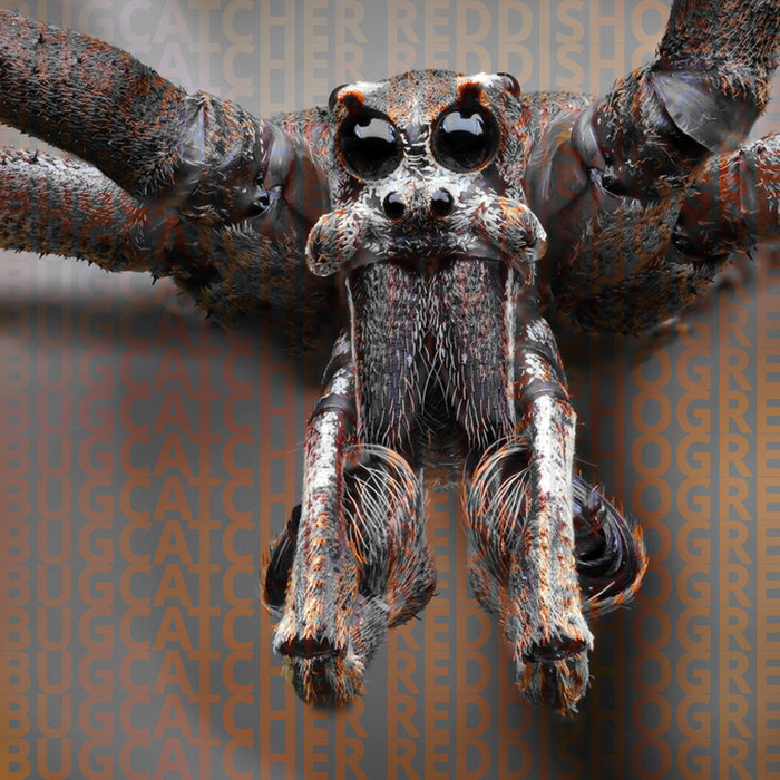 Reddish Ogre | Bug Catcher | Nature Noise Wall