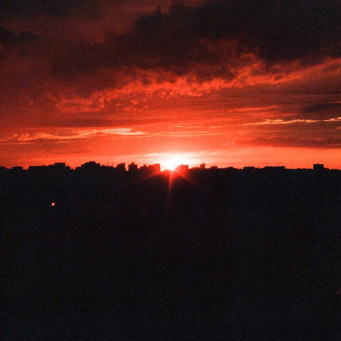 Faded Reality | фарфоровые коты