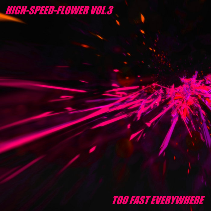 HIGH-SPEED-FLOWER VOL.3 -TOO FAST EVERYWHERE- | SHAMES