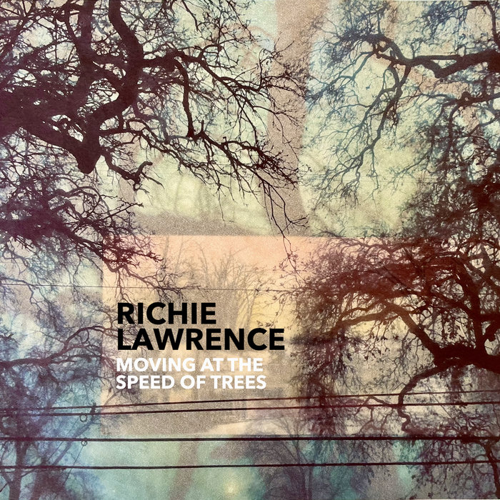 Moving at the Speed of Trees | Richie Lawrence