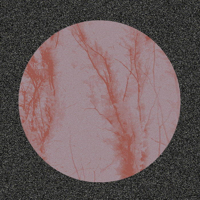 DMARC | Alan Gleeson