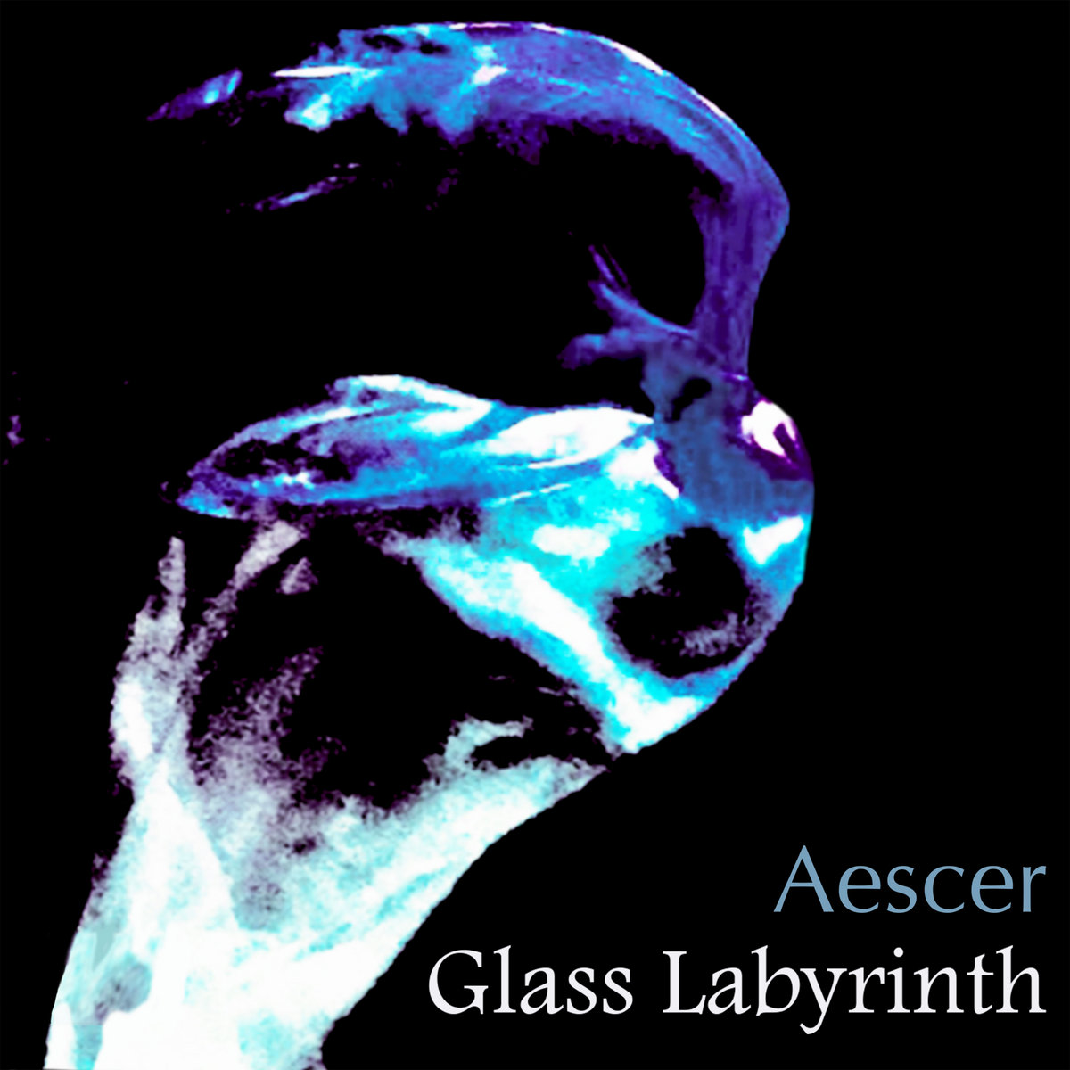 Glass Labyrinth | Aescer