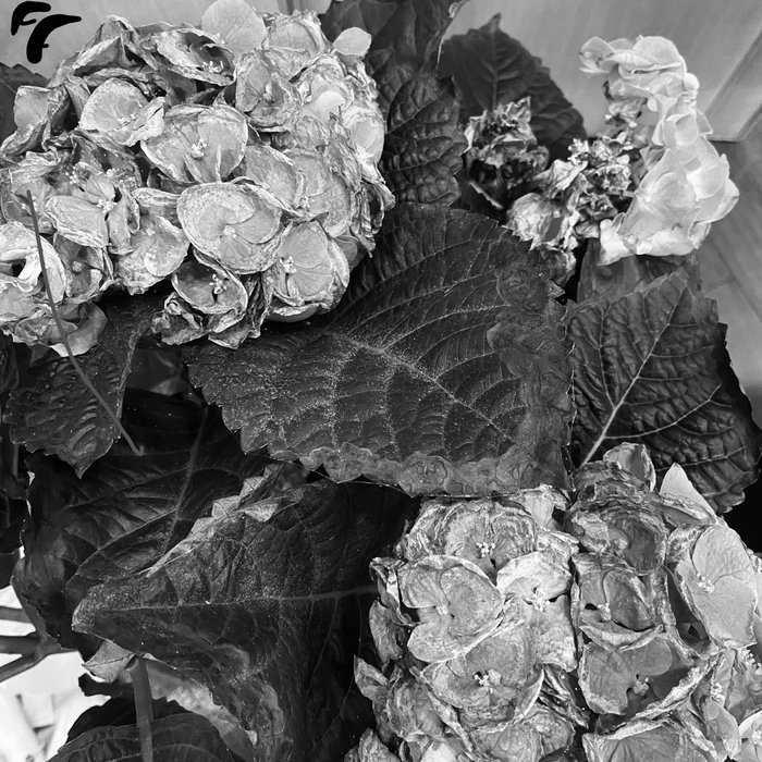 For all tables are full of vomit and filthiness, so that there is no ...