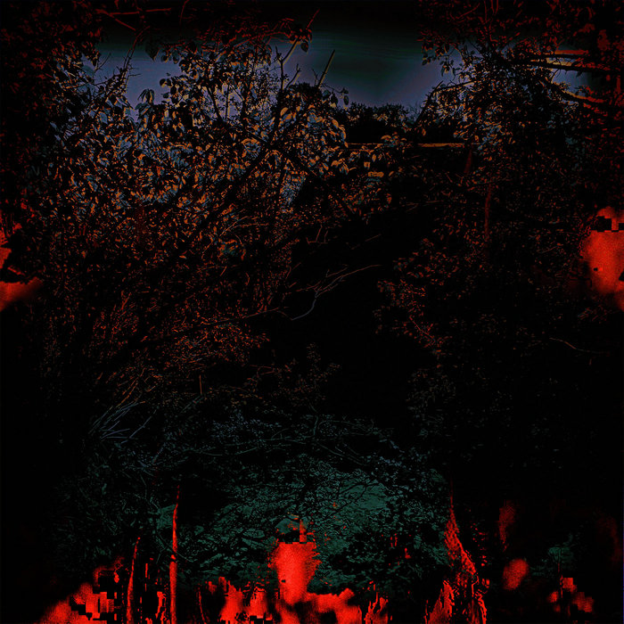 Salem Witch Rave | ⁂V† D‡M∇R⁂ | Flamingo Vapor