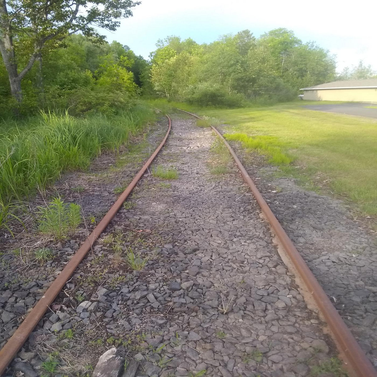 A Complete Unknown | Garth Anderson