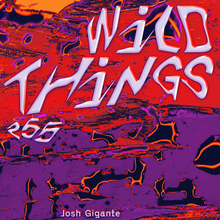 Wild Things EP | Josh Gigante | Diynamic Music