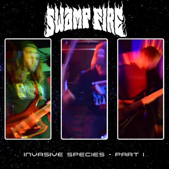 Invasive Species - part I | Swamp Fire