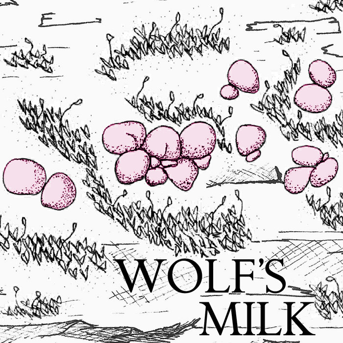 Wolf's Milk | wolf's milk