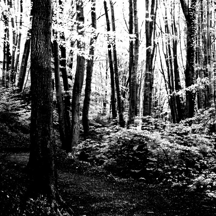 Lost Soundtrack EP | Pete Cobb Musician