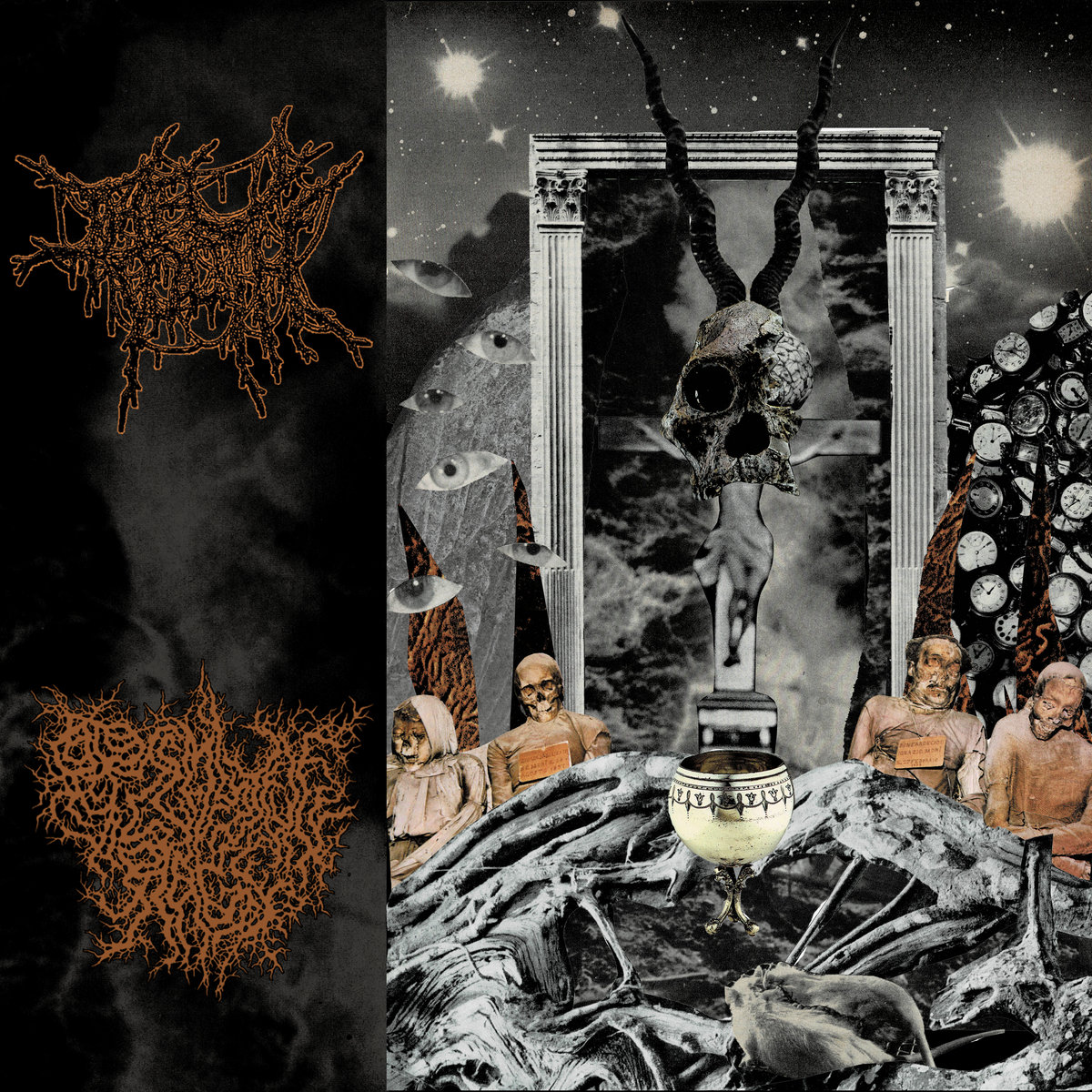 The Tooth / Primitive Rage | Primitive Rage