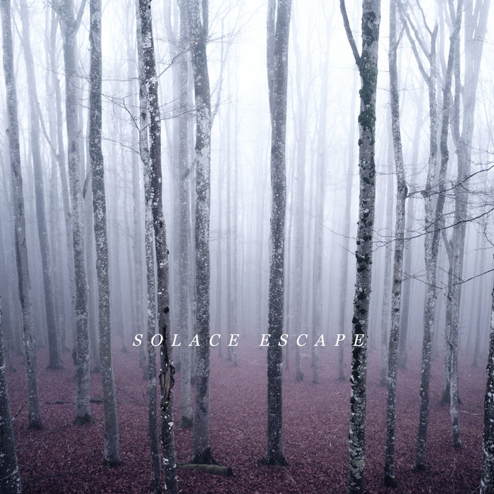 Rain By The Forest | Solace Escape