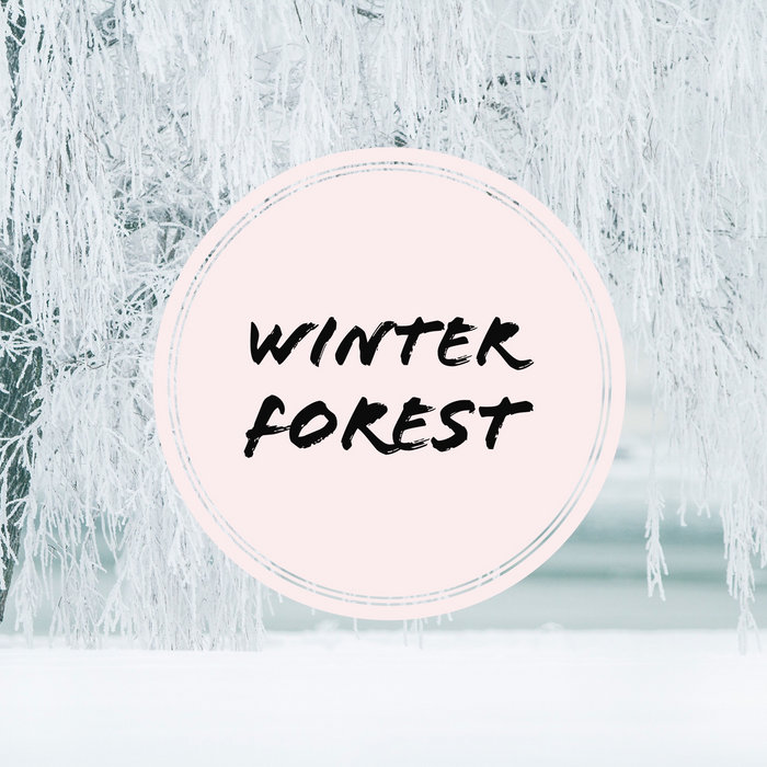 Winter Forest | Pyro-Fox