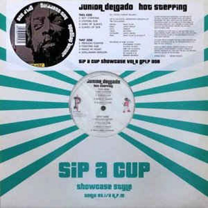 GPLP 308 .. HOT STEPPING .. DUB PLATE MIX'S .. DUBCUP FT. JUNIOR ...