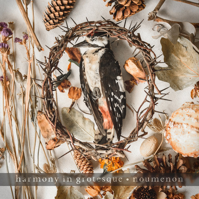 Noumenon | Harmony In Grotesque