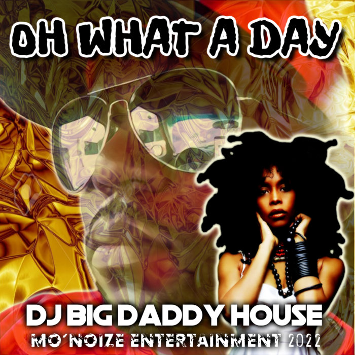 OH WHAT A DAY | DJ BIG DADDY HOUSE