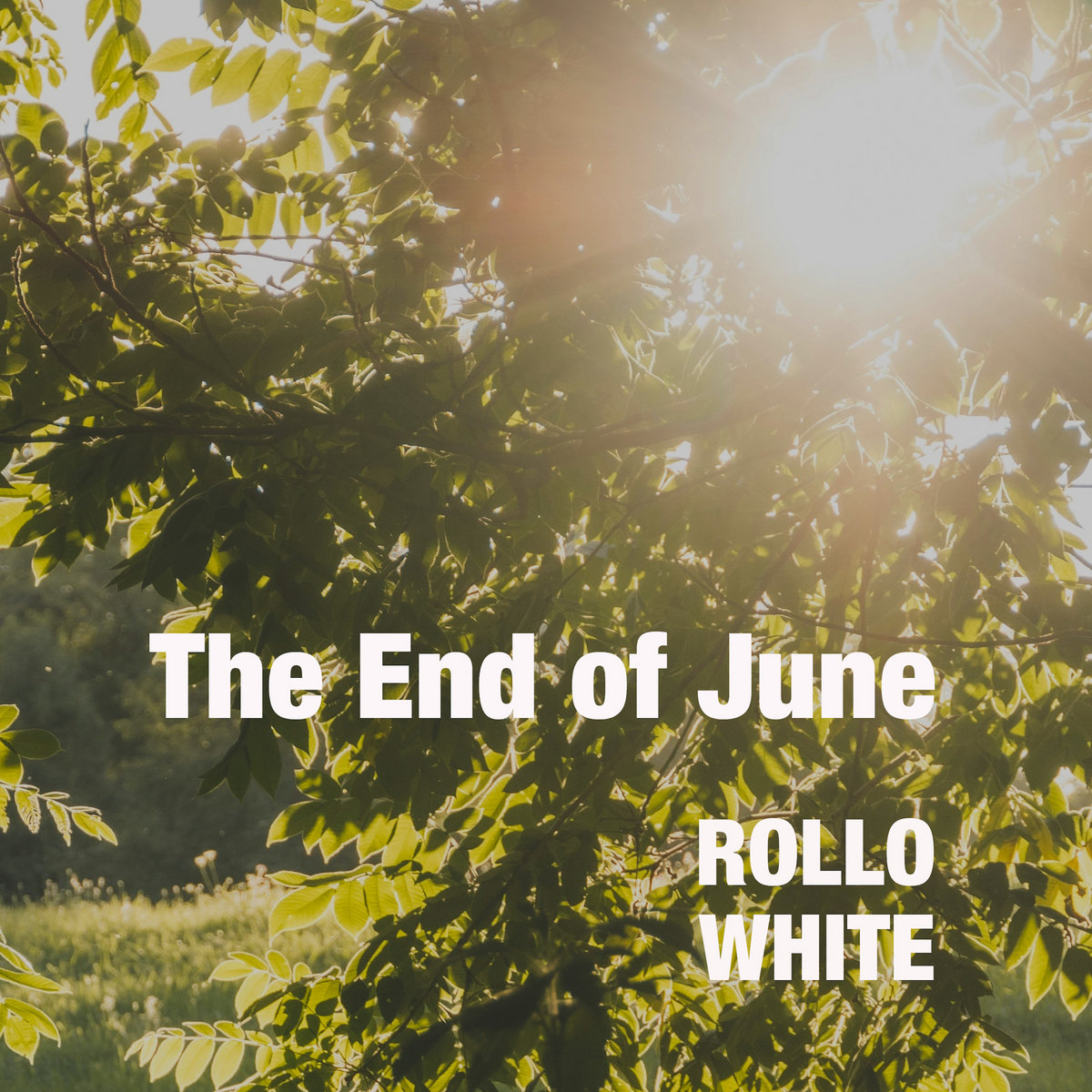 The End of June | Rollo White
