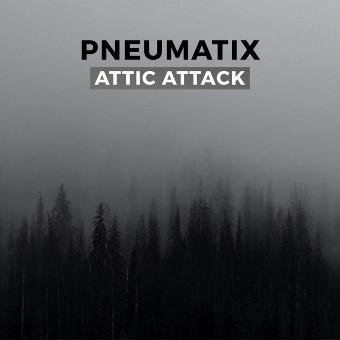 Attic Attack | Pneumatix