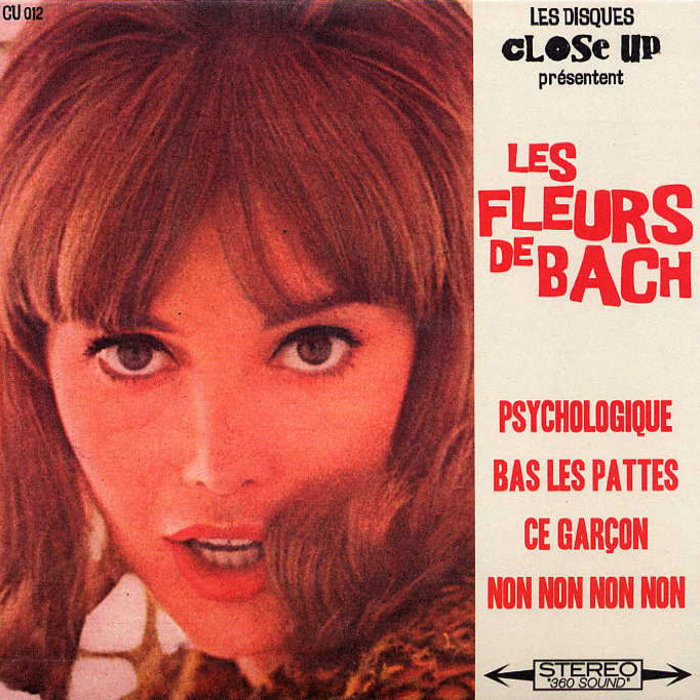 Bas les pattes | close up