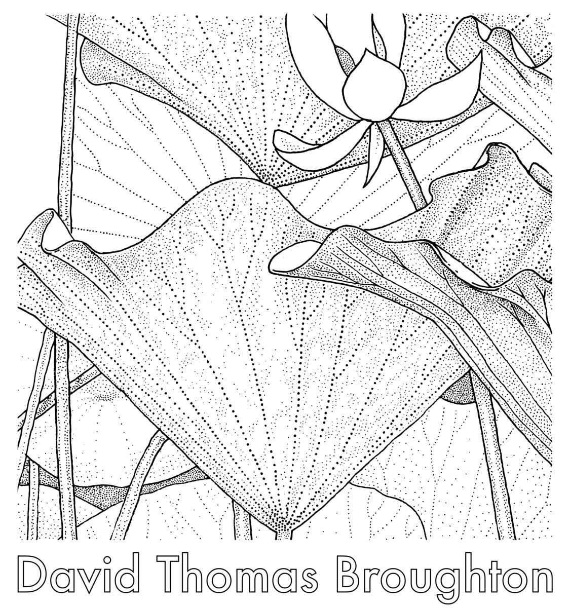 Live 2017 (Autumn/Winter Tour) | David Thomas Broughton