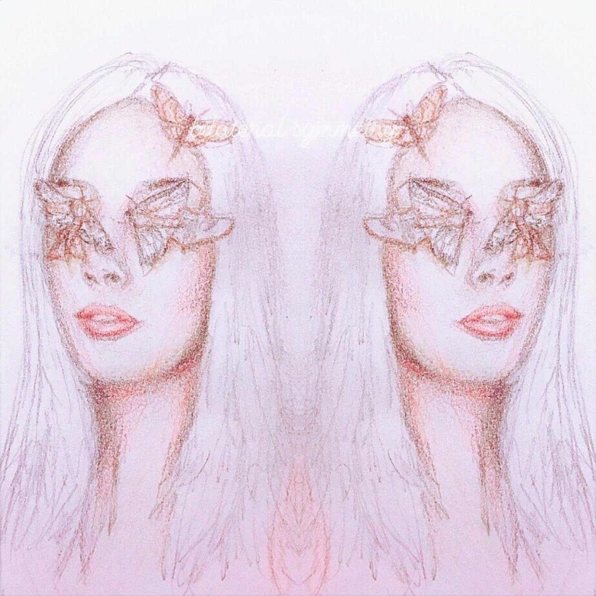 Bilateral Symmetry Art