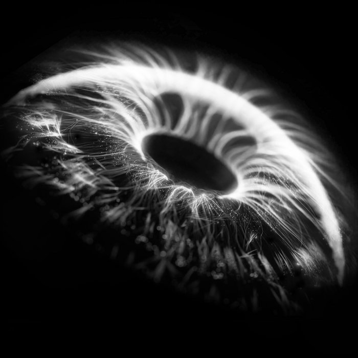 Chromesthesia | The Phantom Eye