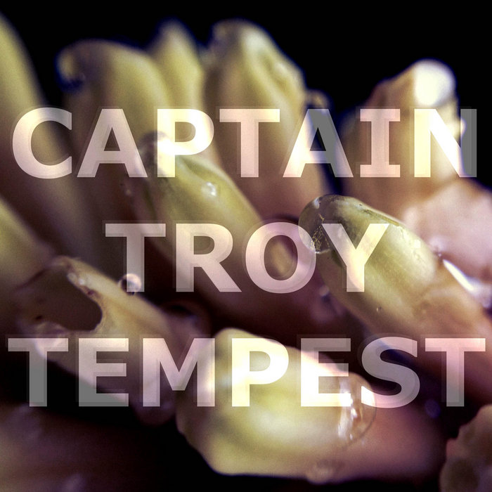 Sea Pigs | Captain Troy Tempest