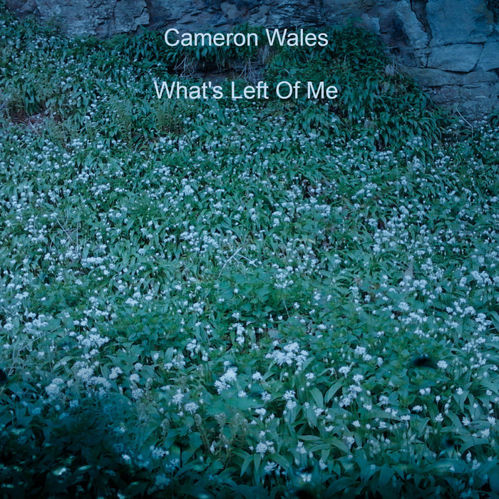 What's left of me | Cameron Wales
