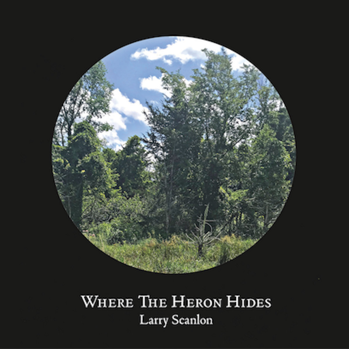 Spring Wind | Larry Scanlon