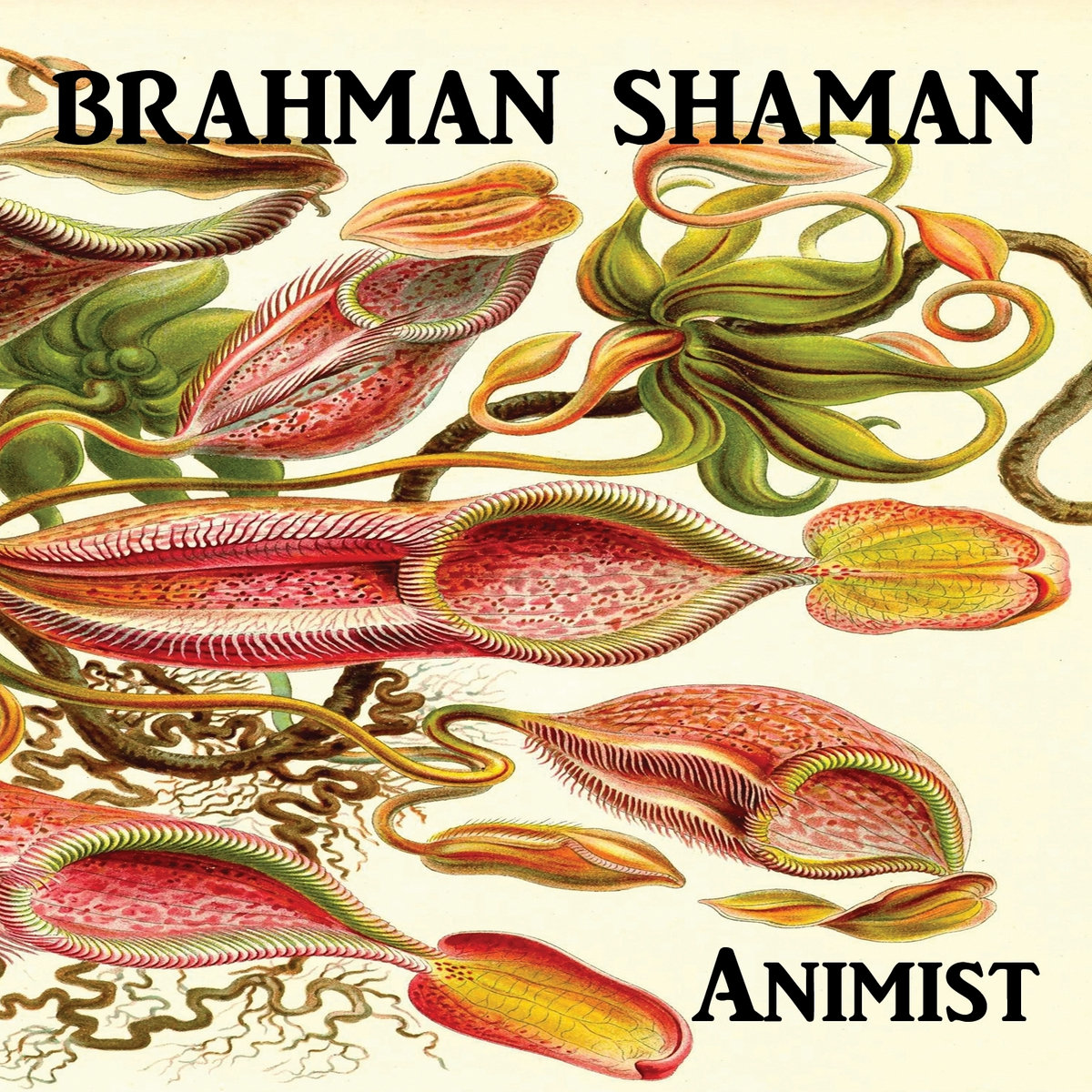 Animist | BRAHMAN SHAMAN