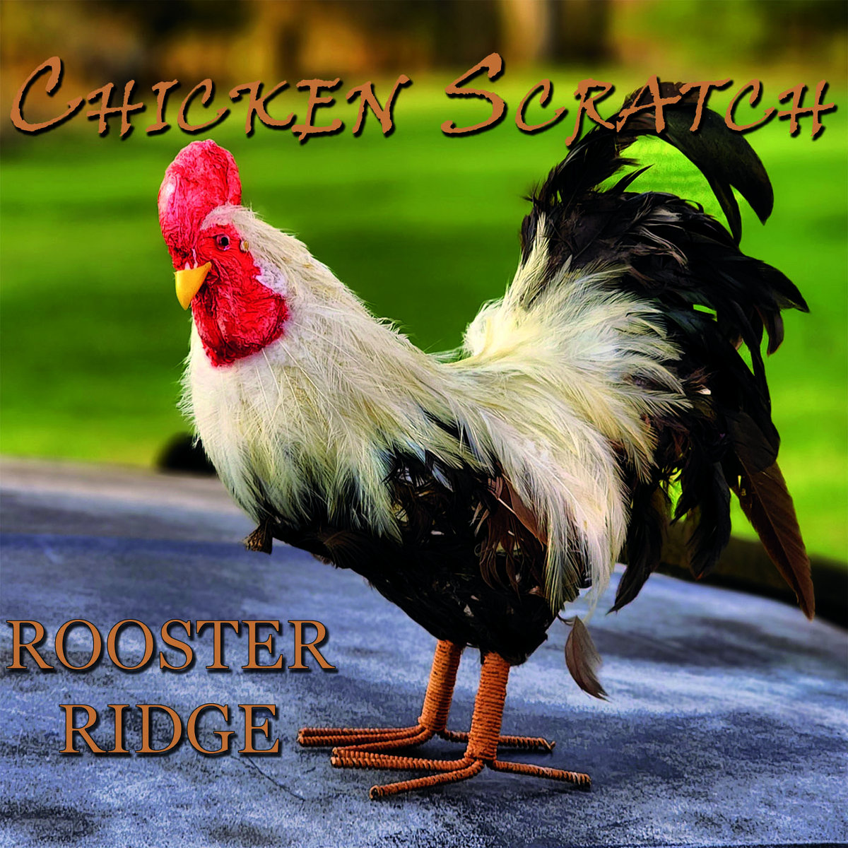 Chicken Scratch | Rooster Ridge