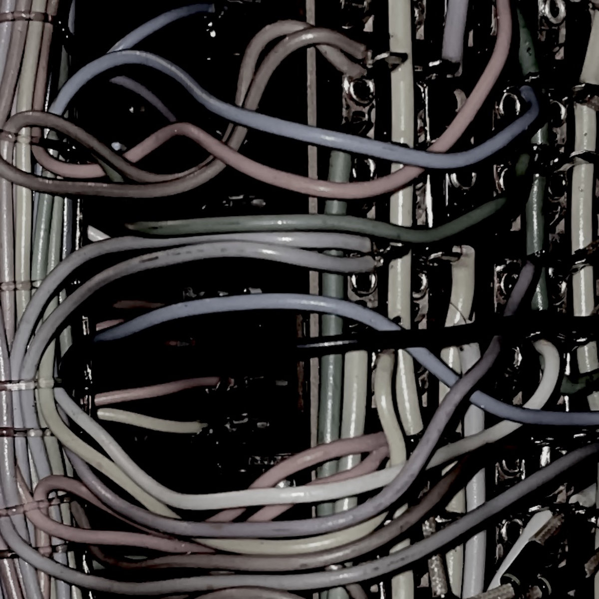 wet progress | Bruise Matriarch | Valerie Flor