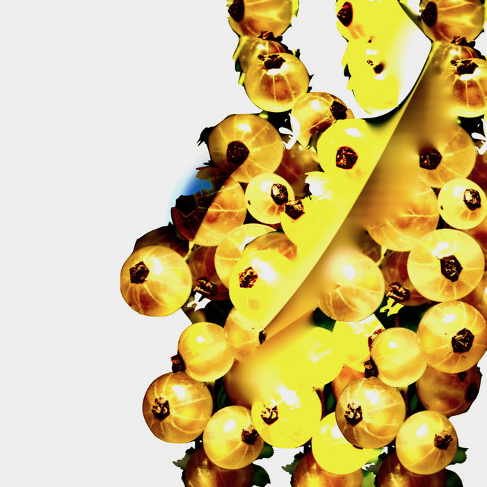 False Berries | Sterling Mackinnon