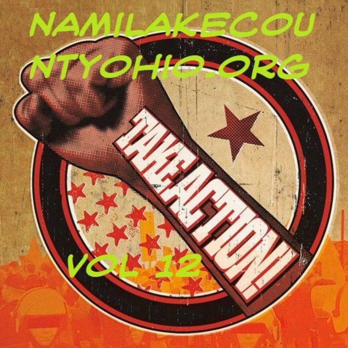 Take Action! Volume 12 | V/A | StrapCoopMore
