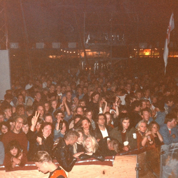 "Which Dream Came True" LIVE at the Roskilde Festival 1989 | Band Of ...