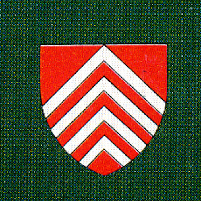 opbrakel | zoute vis