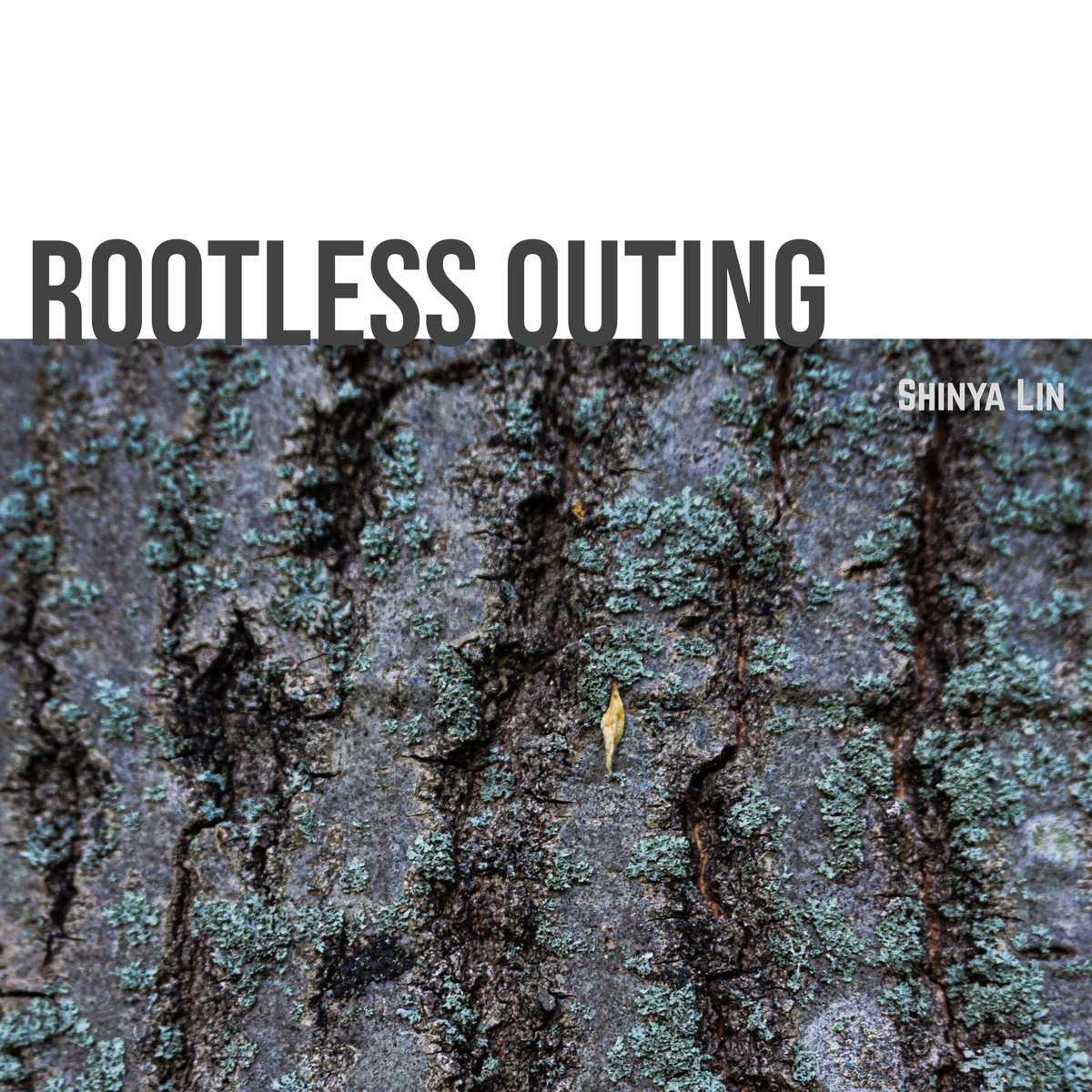 Rootless Outing | Shinya Lin