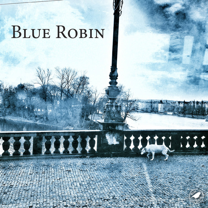 Blue Robin | Blue Robin