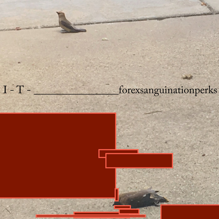 For Exsanguination Perks | Idiot Theorom | A & B Projects